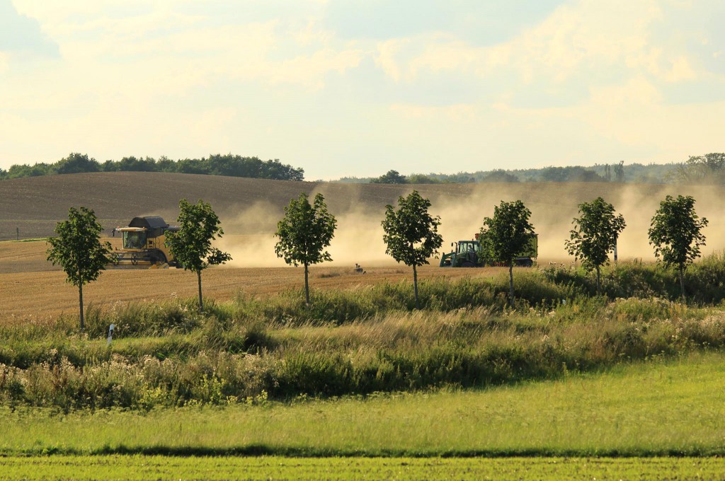 Landwirte im Dauereinsatz » Wir sind Müritzer