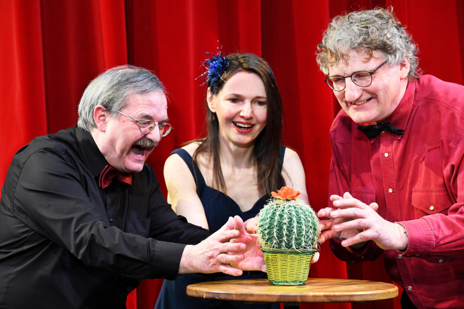 "Die Kaktusblüte" fährt ihre Stachel in Röbel aus » Wir sind Müritzer